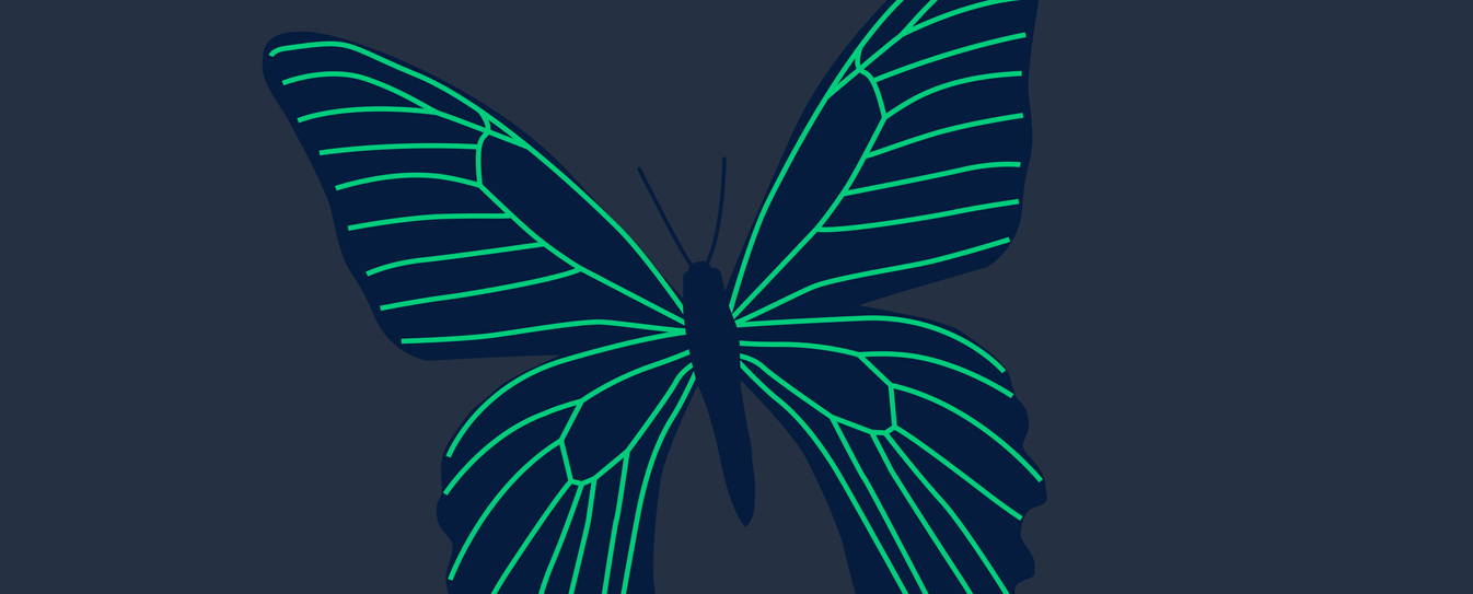 pelecon – structural engineers